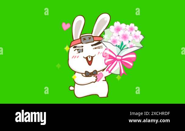 Animated Ninja Rabbit Kneeling with Flowers Stock Video Footage - Alamy