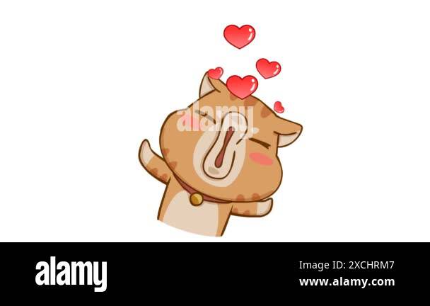 Kiss cat Stock Videos & Footage - HD and 4K Video Clips - Alamy