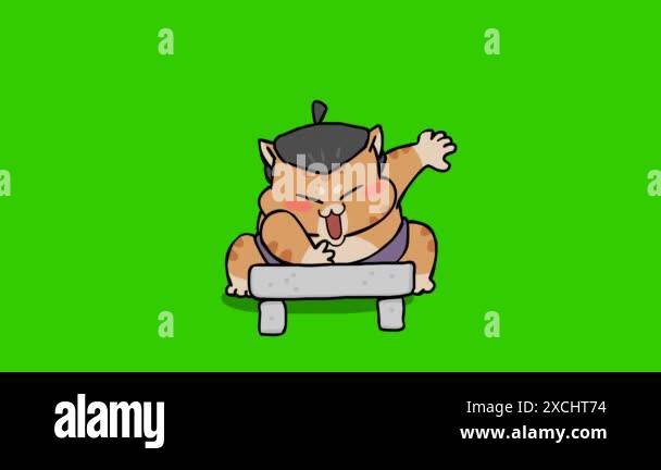 Sumo pose Stock Videos & Footage - HD and 4K Video Clips - Alamy