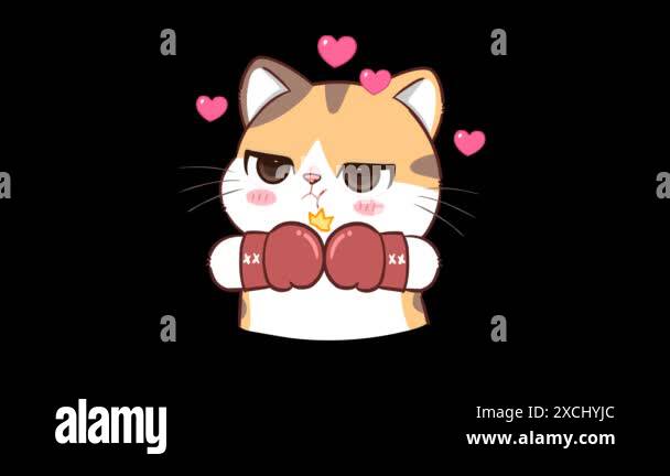 Funny cat punch design Stock Videos & Footage - HD and 4K Video Clips ...