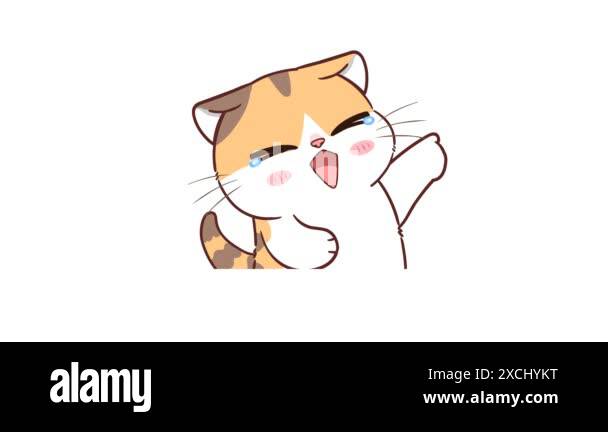 Backward smile Stock Videos & Footage - HD and 4K Video Clips - Alamy