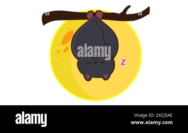 Vector bat moon Stock Videos & Footage - HD and 4K Video Clips - Alamy