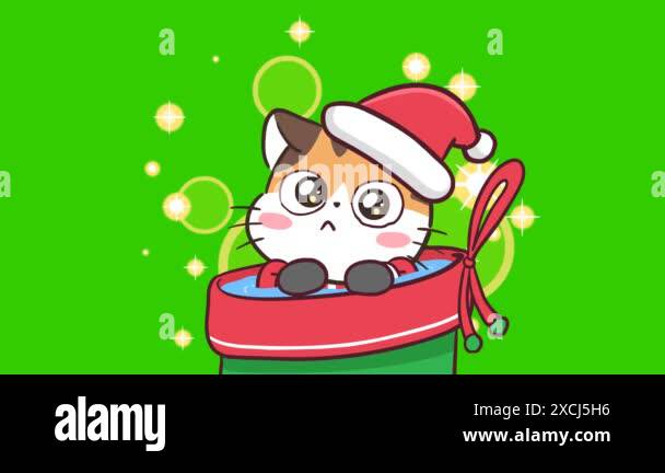 Cat in santa costume Stock Videos & Footage - HD and 4K Video Clips - Alamy