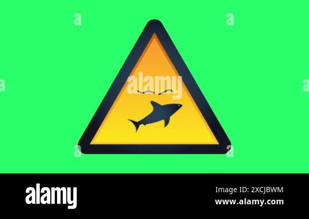 Shark attack hazard warning Stock Videos & Footage - HD and 4K Video ...