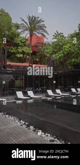 Luxurious tropical resort with infinity pool, sun loungers, palm trees ...