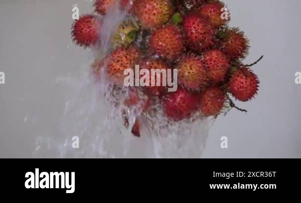 Cascading water over a sink full of vivid rambutans, showcasing the ...