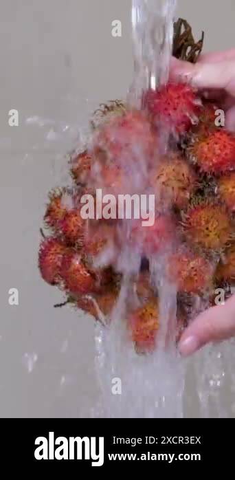 Cascading water over a sink full of vivid rambutans, showcasing the ...