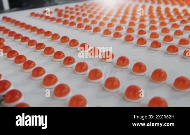 Conveyor belt in a chocolate factory. Candy production. Orange round ...