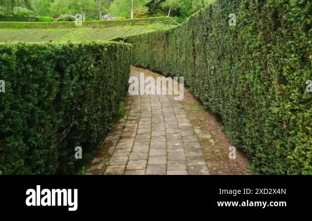 Sunlight through hedge Stock Videos & Footage - HD and 4K Video Clips ...