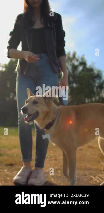 Unrecognizable female with a red dog in the park unfolds facing the ...