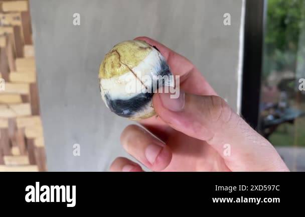Balut philippines Stock Videos & Footage - HD and 4K Video Clips - Alamy