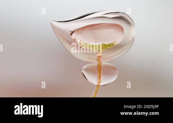 urinary or excretory system, detailed male bladder and prostate gland ...