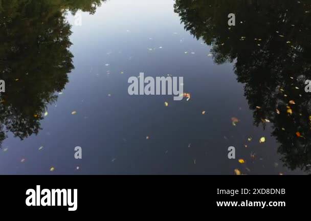 Smooth camera rise Stock Videos & Footage - HD and 4K Video Clips - Alamy