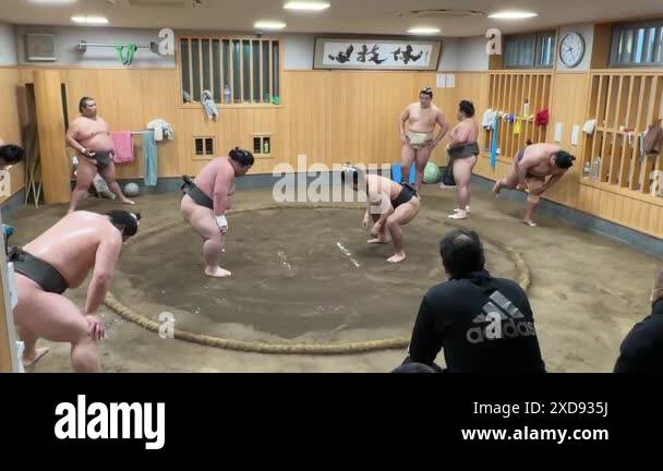 Grappling techniques Stock Videos & Footage - HD and 4K Video Clips - Alamy