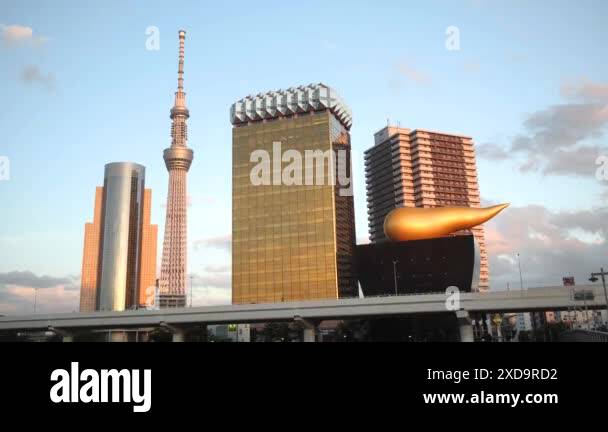 Asahi tree Stock Videos & Footage - HD and 4K Video Clips - Alamy