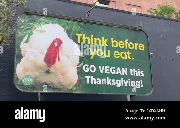 Peta peta campaign Stock Videos & Footage - HD and 4K Video Clips - Alamy