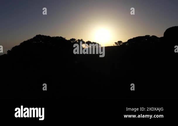 Hill and Trees at Sunrise above Clouds. Cloud Inversion. Aerial Reveal ...