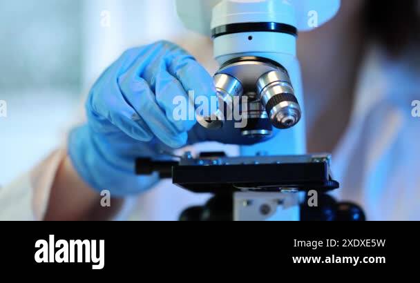 Scientist turns lenses of microscope looking at sample on slide in lab ...