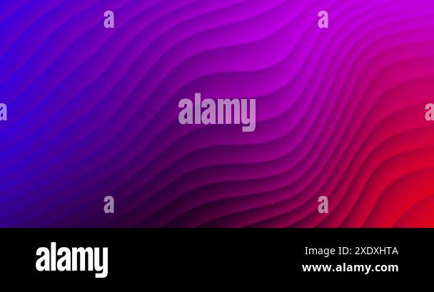 Purple gradient waves, seamlessly looped animation. Dynamic gradient ...