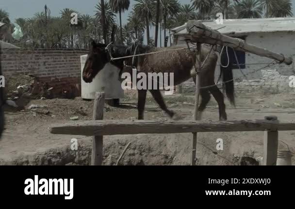 Rotary mill Stock Videos & Footage - HD and 4K Video Clips - Alamy