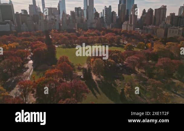 New York City Central Park. Top view with Autumn tree. Autumn Central Park view from drone ...