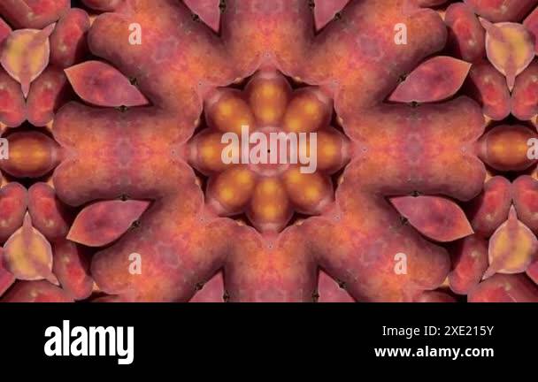 Visual symmetry effect Stock Videos & Footage - HD and 4K Video Clips ...