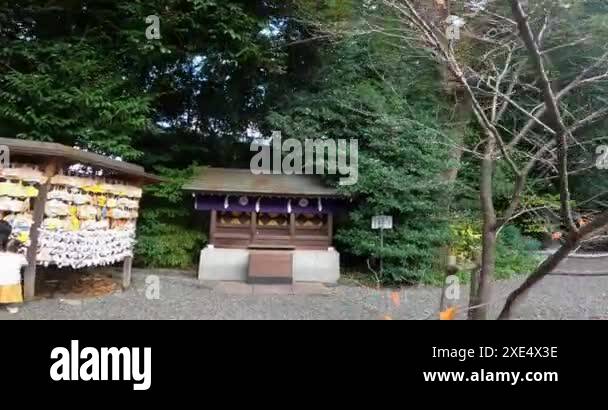 Asagaya Shinmei Shrine, to the Motomiya (main shrine).Asagaya Shinmei Shrine, a shrine located ...
