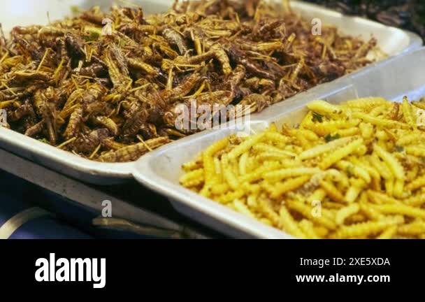 Various fried edible bugs and insects including grasshoppers and larvae ...