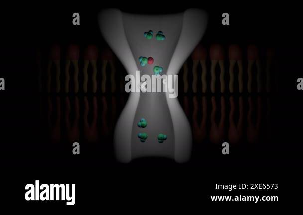 Cell membrane 3d Stock Videos & Footage - HD and 4K Video Clips - Alamy
