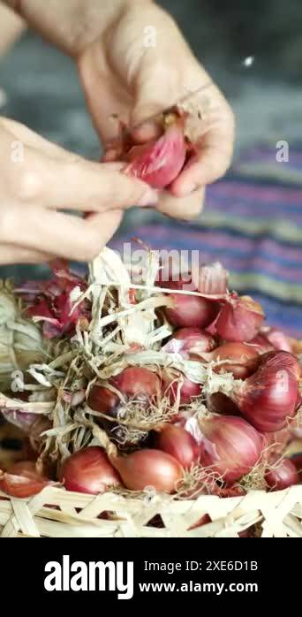 the culinary world as delicate female hands skillfully peel and prepare ...