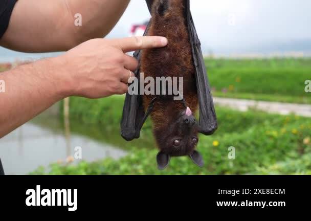 A man dressed in black and wearing a bucket hat holds a bat in his ...