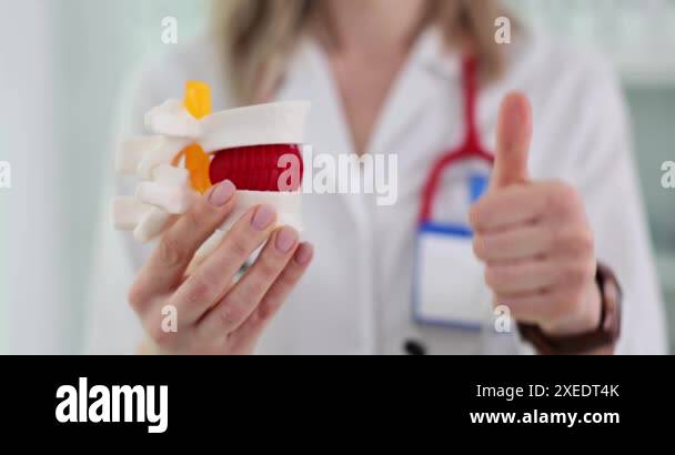 Woman doctor shows model of spinal cord and shows thumbs up gesture ...