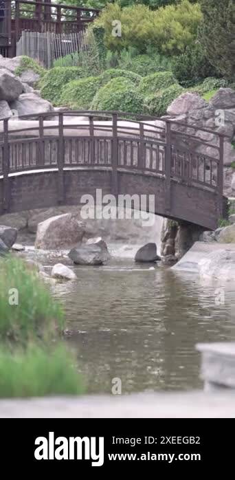 Natural proportion Stock Videos & Footage - HD and 4K Video Clips - Alamy