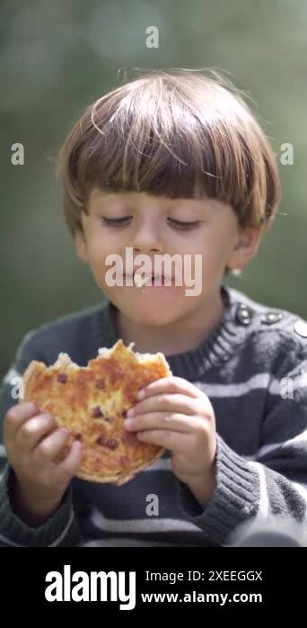 Pie trees Stock Videos & Footage - HD and 4K Video Clips - Alamy
