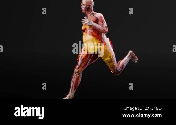 Weight loss Comparison. man body transformation. running jogging for ...