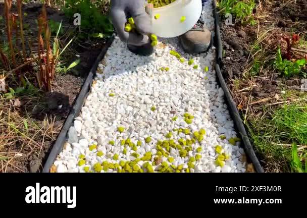 Man made pathway Stock Videos & Footage - HD and 4K Video Clips - Alamy