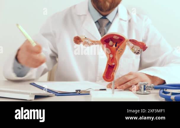 Organs human male reproductive Stock Videos & Footage - HD and 4K Video ...