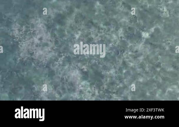 Sea surface water texture Stock Videos & Footage - HD and 4K Video ...