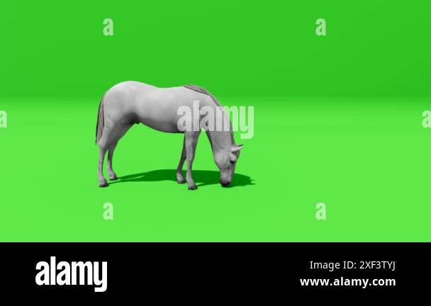 horse green screen animation Stock Video Footage - Alamy