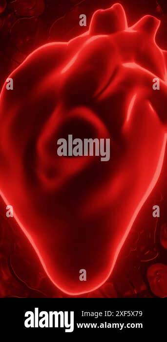 Digital model of the human realistic beating heart, diagnostic of the ...