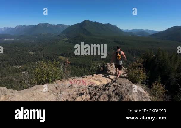 Forest lookout point Stock Videos & Footage - HD and 4K Video Clips - Alamy
