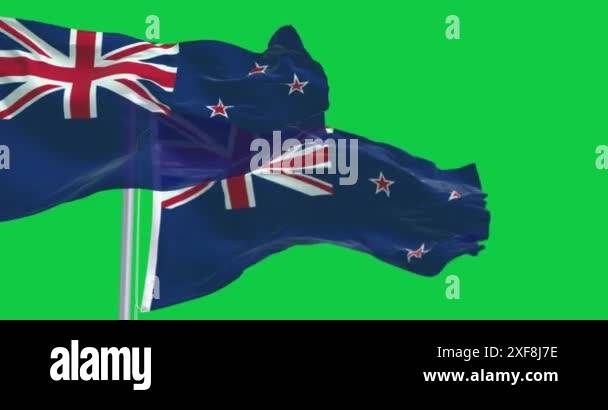 New Zealand national flags waving isolated on green background ...
