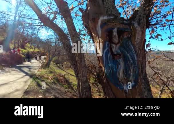 The enchanted forest 2024 Stock Videos & Footage - HD and 4K Video ...