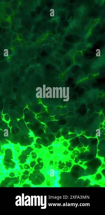 Green and red background. Motion.Dark cartoon animation with bright ...
