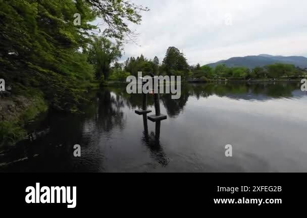 Japan - 15th May, 2024: Nice shrine on lakeside of Tenso Shrine Stock ...