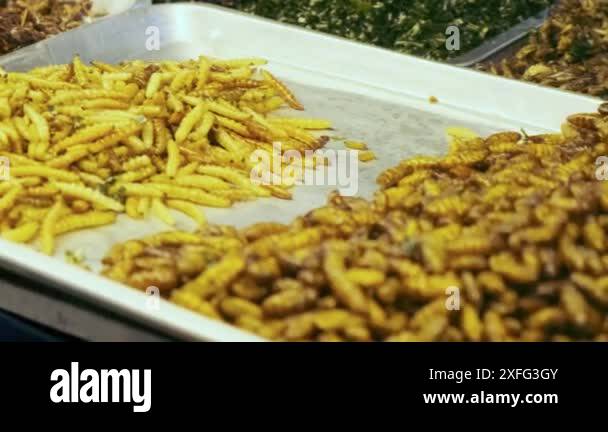 Various fried edible bugs and insects including grasshoppers and larvae ...