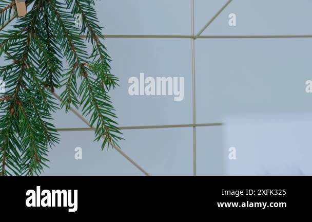 Dream board with message 2025 IS MY YEAR TO with fir branches. Happy ...