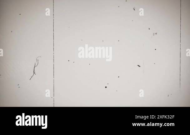 Splinter texture Stock Videos & Footage - HD and 4K Video Clips - Alamy