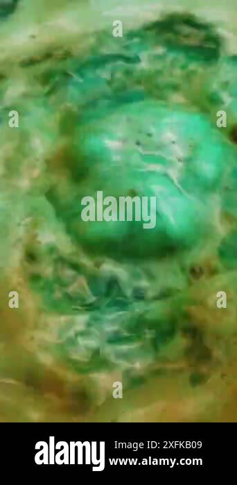 Nitric Acid Reaction Stock Videos And Footage Hd And 4k Video Clips Alamy