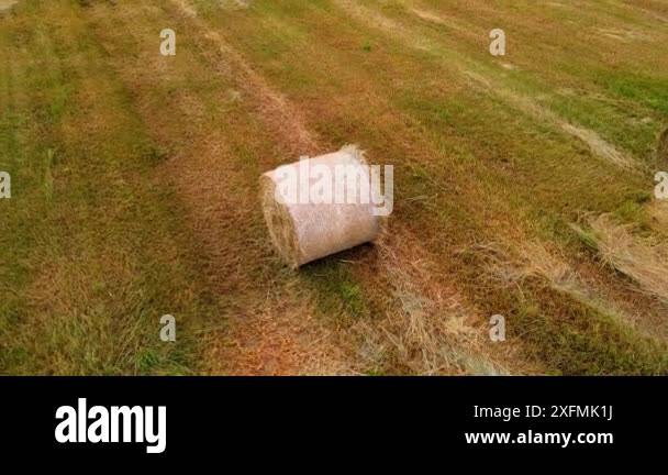 Single Hay Bale In Field Of Cut Grass. Field with straw after harvest. Farming grass in ...